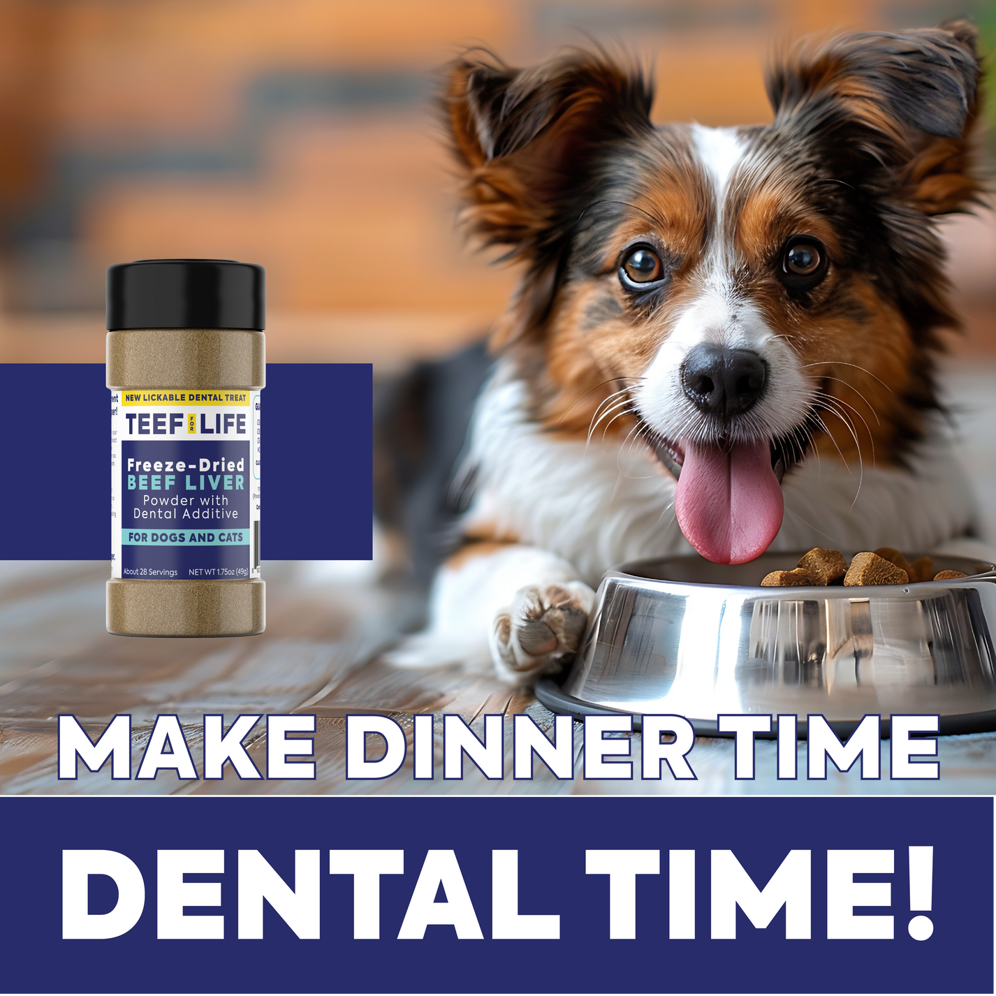 Lickable Treat Powder - Dog and Cat Formula (Beef Liver or Salmon ...